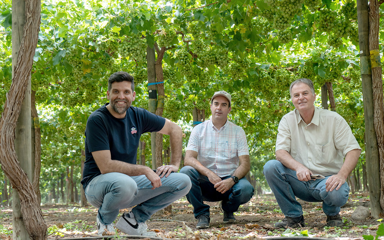 A CHILEAN GRAPE ARTIST AND AN EXPERT GRAPE MARKETER FUEL AN ...